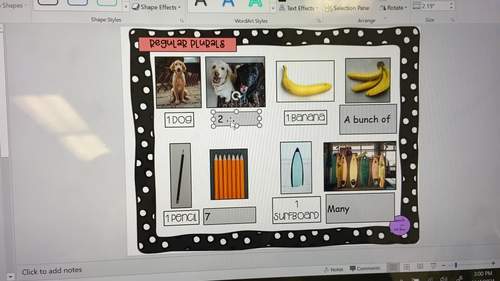Regular and Irregular Plurals - Interactive PowerPoint by Speech with ...