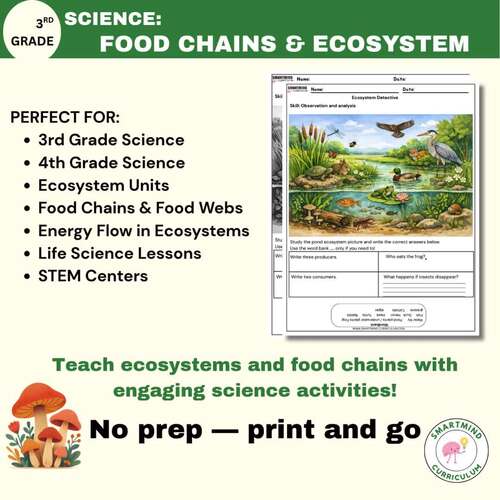 3RD GRADE SCIENCE WORKSHEET: FOOD CHAINS & ECOSYSTEM by Smartmind ...