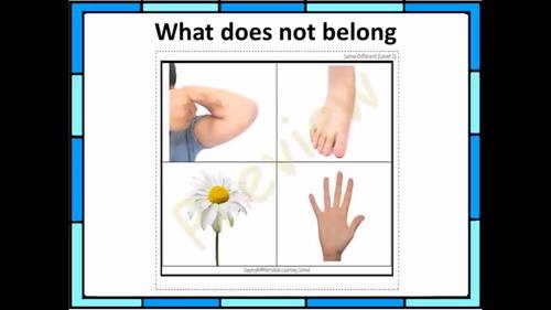 What Does Not Belong Level 3 Category Task Slides with Real Images ...