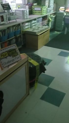 Nonfiction Reading Fear Factor Classroom Transformation (Halloween)