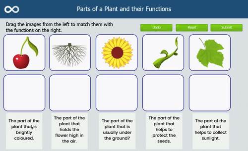 Elementary Parts of a Plant Interactive Fall Activities | TPT