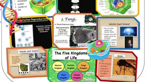 Middle School Life Science Lesson Bundle B.E.S.T. Standards by Mrs Lena