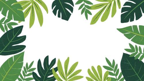 Hand-Drawn Leaves Frame Animated Background by PrintableBoutiStudio