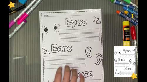 Body worksheet: Name of each parts,activity.For Preschool,Kinder, 1st ...