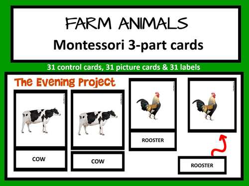 FARM ANIMALS Montessori 3-part cards with real photographs | TPT