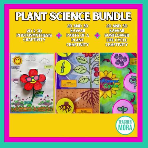 2D & 3D Plant Science Bundle | Photosynthesis + Parts of a Plant + Life ...