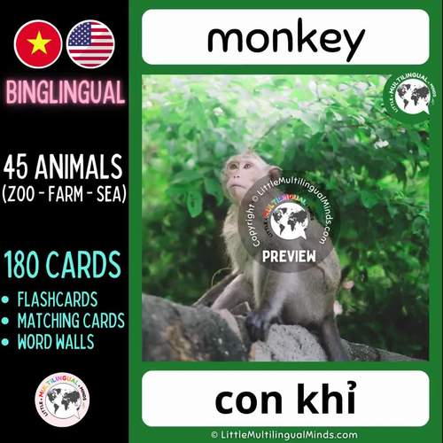 English and Vietnamese Animal Flashcards, Matching - Zoo, Farm, Sea ...