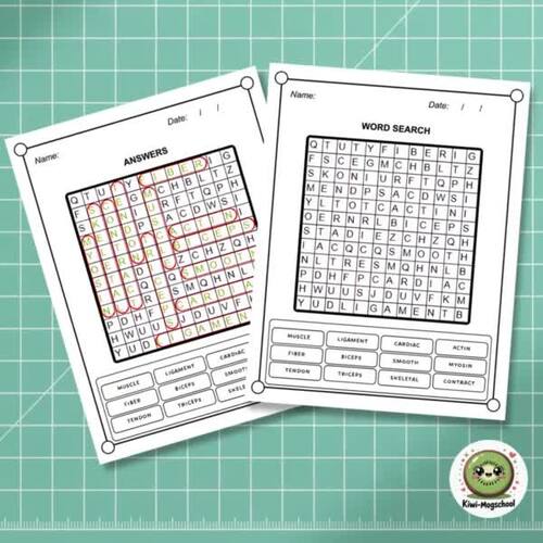 Human Muscular System Anatomy Labeling | Major Muscles & Muscle Groups ...