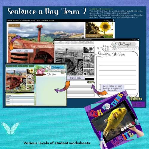 Sentence Writing Grade 2 Weeks 11 to 20 by On Butterfly Wings | TPT