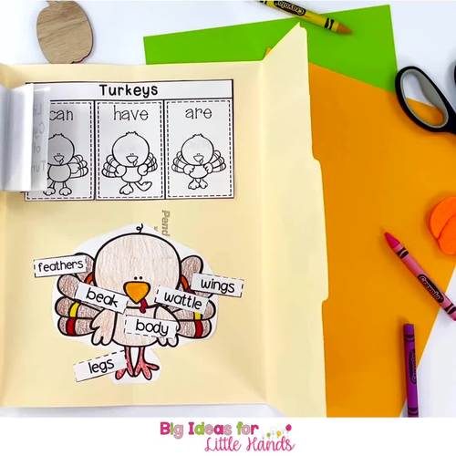 All About Turkeys Craft - Label a Turkey - Life Cycle of a Turkey ...