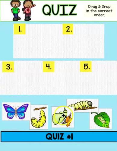 BUTTERFLY LIFE CYCLE Google Slides by Teacher Features | TPT