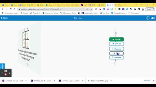 Biology STAAR EOC Boom Cards Mechanisms of Genetics by Colossal Content