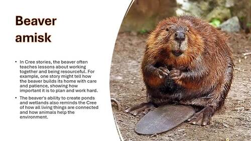 Wild Animals in Plains Cree (Y-Dialect) by CHARLIE'S ONLINE CREE-ATIONS