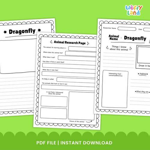 Dragonfly Research Project | Insect Science Worksheets & Animal Report