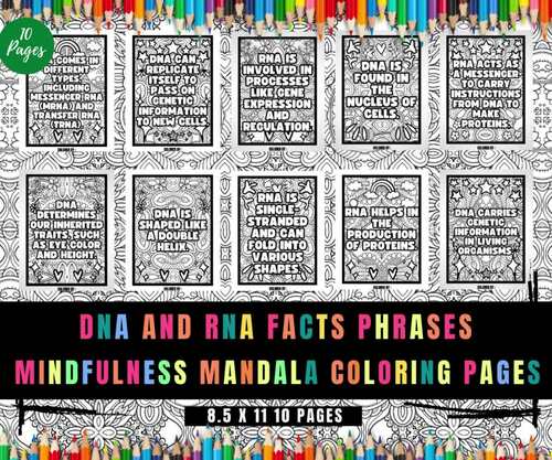 messenger rna coloring key pages