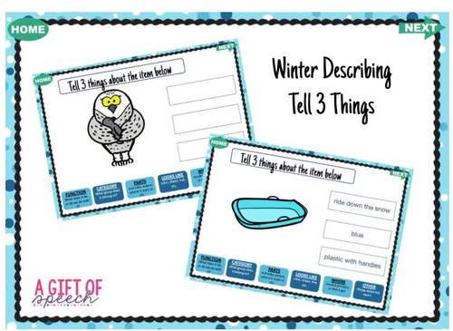 Winter Describing NO PREP Attributes and Vocabulary Boom Cards™ Activity
