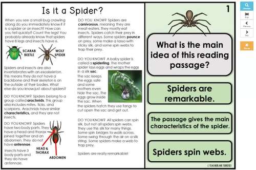 Spiders Reading Passages Boom Cards by Teachers Are Terrific | TPT