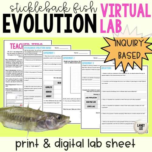Evolution Virtual Lab (MS-LS4-1 & MS-LS4-2) by Laney Lee | TPT