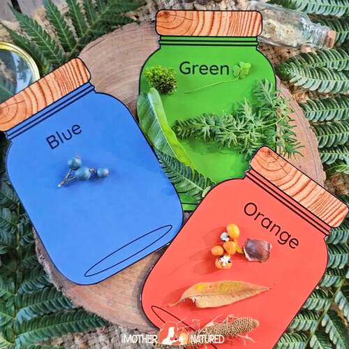 Sorting Color Activity | Sorting Colour Activity | Colour Recognition ...