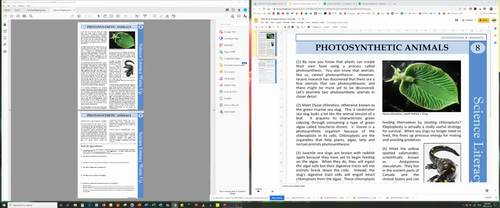 Photosynthetic Animals - Sub Plan / Science Reading #8 (Google Slide ...