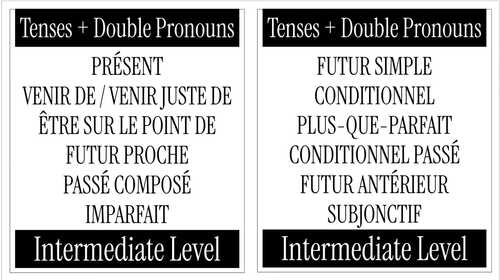 French Tenses and Pronouns Translations Exercise #6 - Intermediate Level