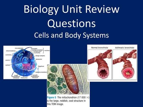 Biology Unit Review Questions - Cells and Body Systems by Teach With Fergy