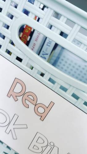 Classroom Library Labels Pastel Rainbow by Little Learning Love Bugs