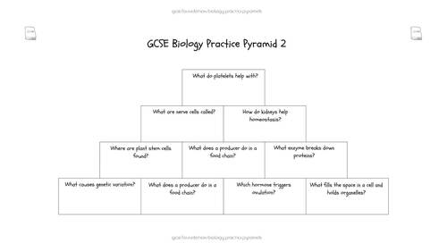 20 GCSE Foundation Biology Practice Pyramid Worksheets PDF | TPT