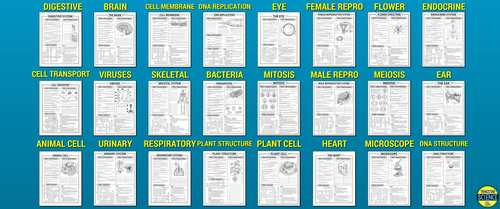 Biology & Anatomy Homework Review / Test Prep BUNDLE | Print & Google ...