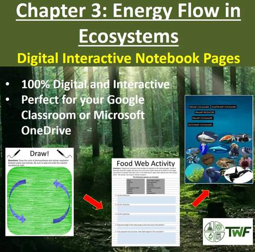 Energy Flow in Ecosystems - Digital Interactive Notebook Pages | TPT
