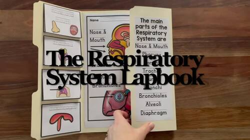 Respiratory System Lapbook Respiratory System Activities Respiratory System