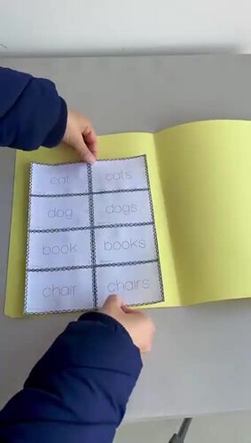 Irregular Plural Nouns Memory Game Review by Thriving in EFL | TPT