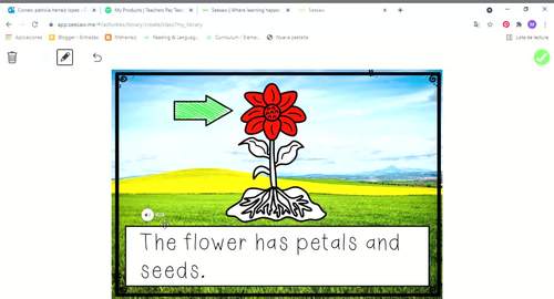 Digital Plants: Life Cycle, parts & needs | Seesaw | Google Slides