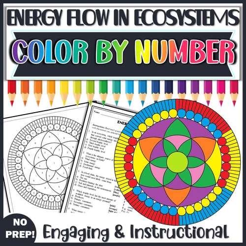 Energy Flow in Ecosystems Color by Number | Biology Review Worksheet ...