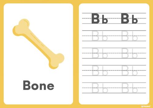 Tracing Letter B for Bone Practice by Peekaboo Studio | TPT