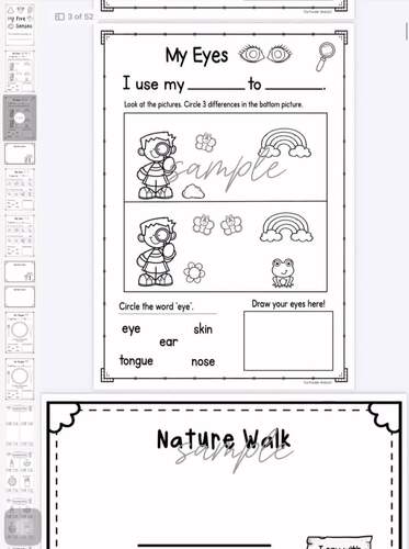 My Five Senses BUNDLE - Kindergarten Worksheets｜Flashcards | Posters ...