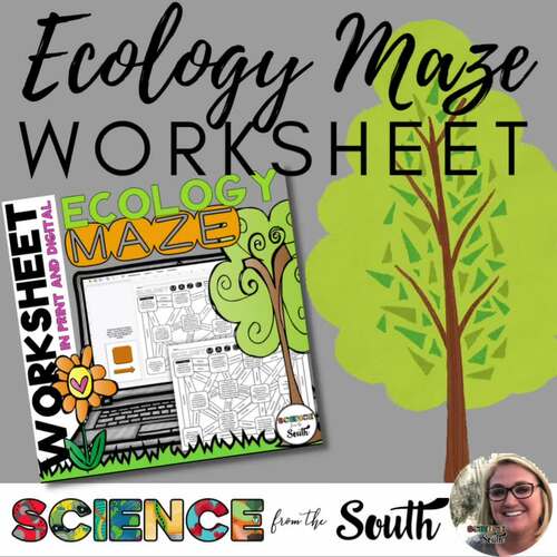 Ecology Review Maze Worksheet Printable and Digital Assessment Activity