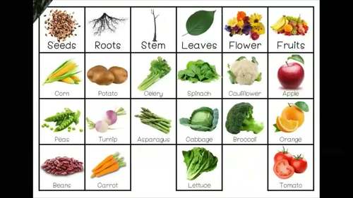 Planting/Gardening unit/study - Parts of the Plant we Eat by Awesome ...
