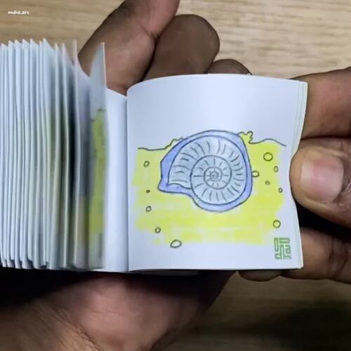Fossilization flipbook: DIY stages of fossil formation. Educational ...