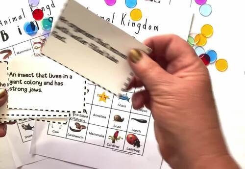 BINGO! Animal Kingdom Classification Game Phyla VERTEBRATES INVERTEBRATES