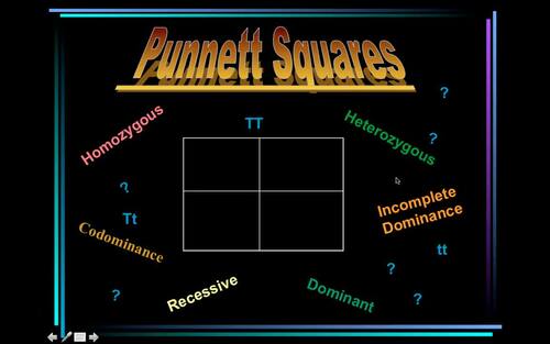 Biology Lecture Video/Genetics Basics/Flipped Classroom/Edpuzzle Ready