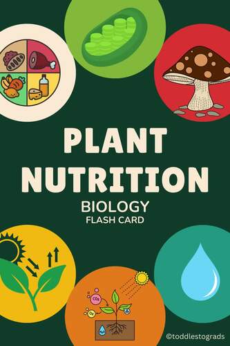 Plant Nutrition Biology Flash Cards – Set of 50 | Science Learning Resource