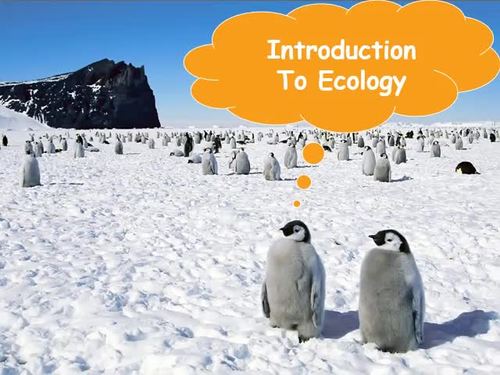 Introduction to Ecology [Lesson Bundle: Powerpoint, Worksheet, Answer Key]