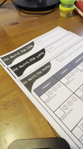 Comprehensive Behavior Tracking : Daily, Weekly, and Monthly Checklists ...