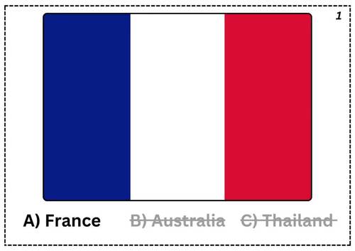 Country Flag Guess game Flag activity - Elementary and Middle school