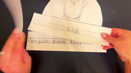 Penguin Facts Flip Book for Primary Grades by Sian Camana | TPT