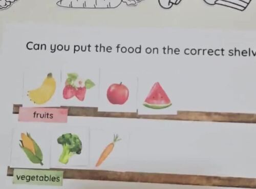 Food Group Sorting Game, Make a Meal Mat, Healthy Eating, Food Coloring