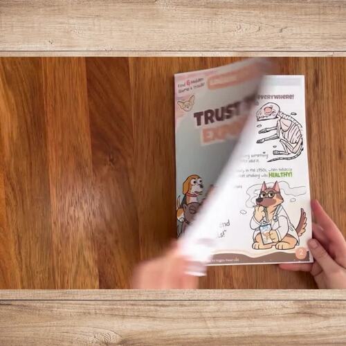 Appeal to Authority Fallacy Activity Pack: Critical Thinking, Comprehension