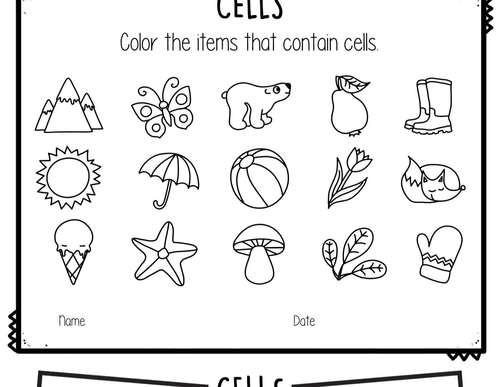 Cells Exit Tickets | Science Exit Slip | Warm-Up | Doodle Assessments