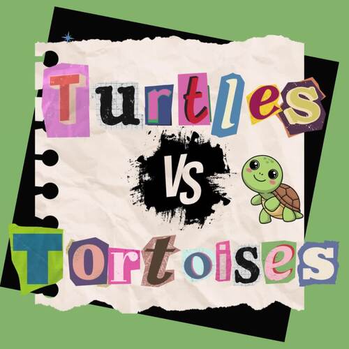 Turtles vs. Tortoises Compare and Contrast Mini Book by RobinBirdCreations